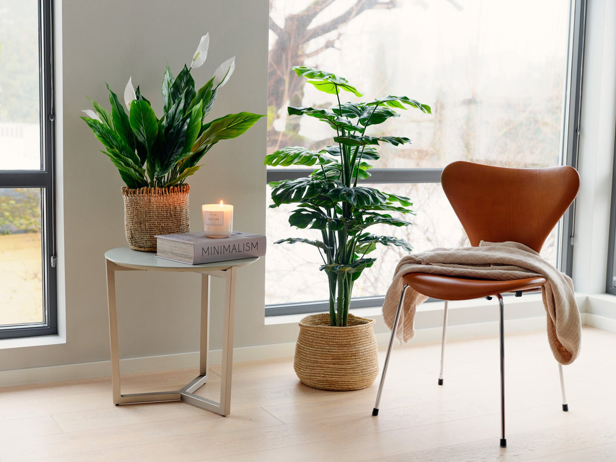 Kunstige planter — Perfect Home